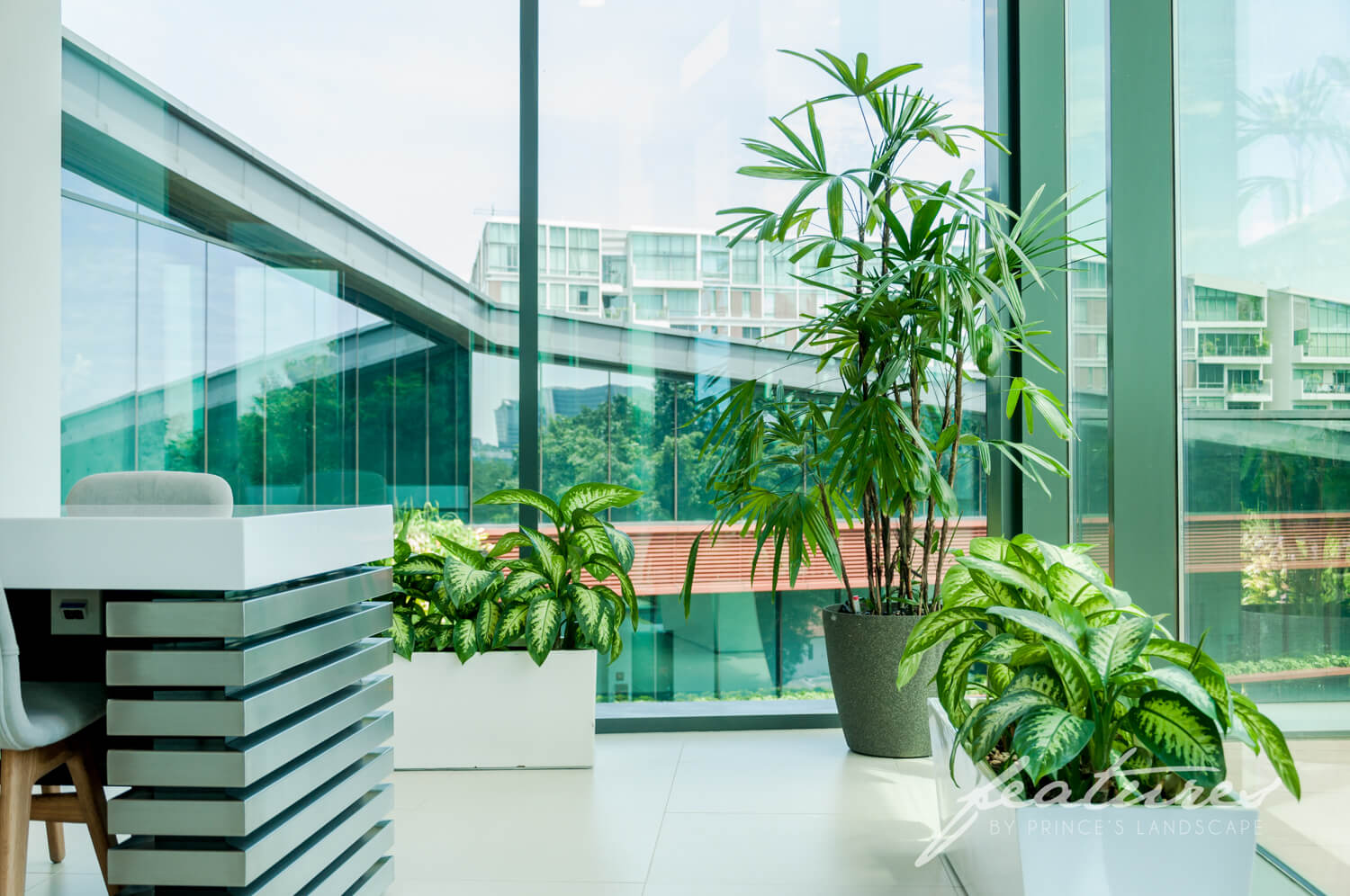 Mall, Corporate, Office Plant Rental | Prince’s Landscape