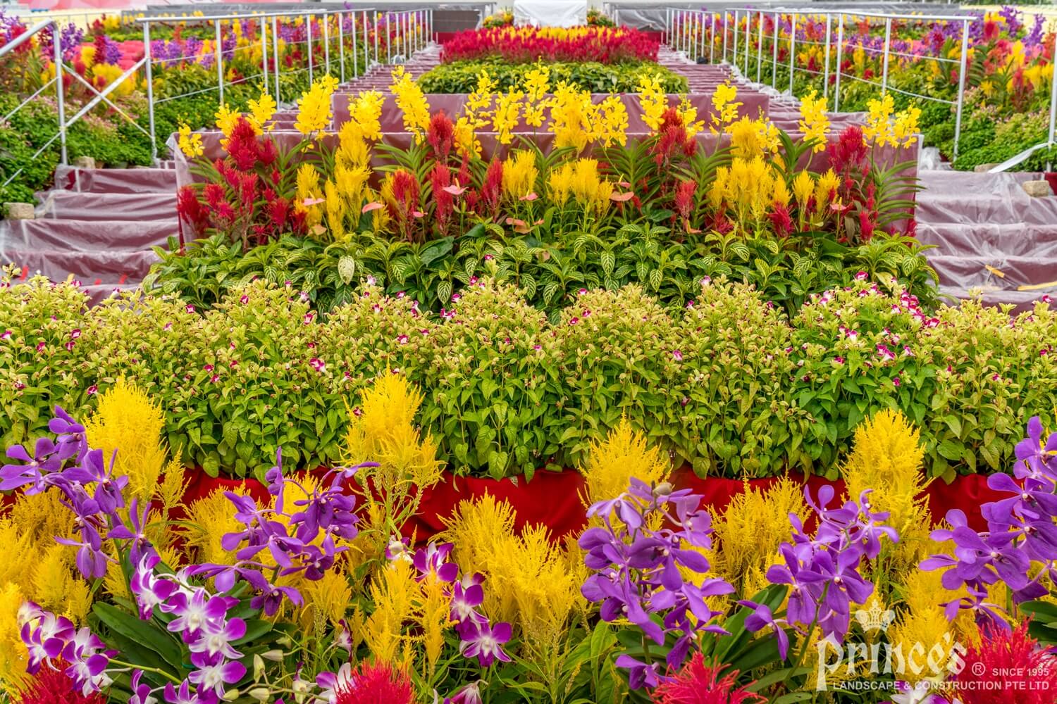 #1 Best Event Plant Display Rental in Singapore