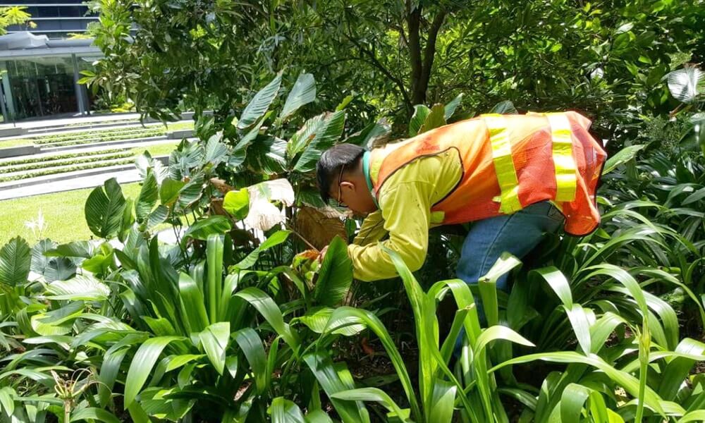 Who We Are | Prince's Landscape Pte. Ltd.