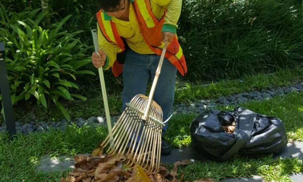 Who We Are | Prince's Landscape Pte. Ltd.