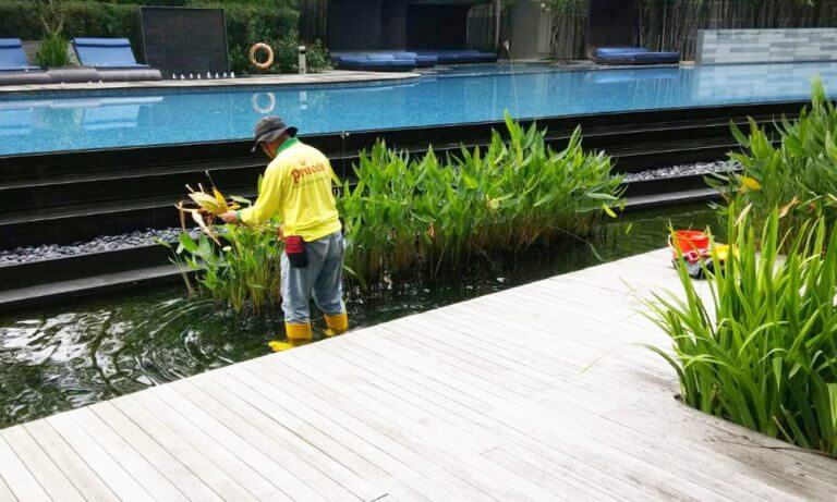 Who We Are | Prince's Landscape Pte. Ltd.