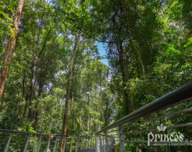 #1 Landscape Design Company in SG | Prince's Landscape