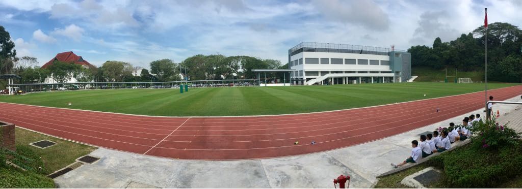 Turfing, Grass Planting Services | Prince’s Landscape