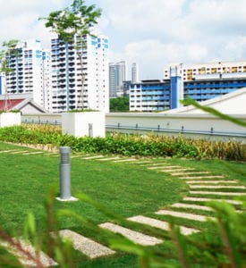 #1 Grass Cutting Services in Singapore | Expert Grass Cutter