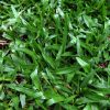 #1 Grass Turfing in Singapore | Artificial Carpet Grass Service