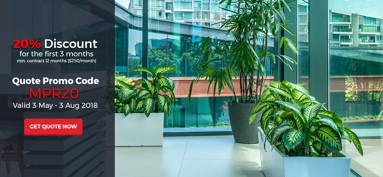 Best Landscaping Singapore | Prince’s Landscape