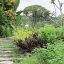 Best Landscaping Singapore | Prince’s Landscape