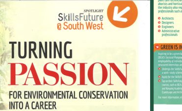 Best Landscaping Singapore | Prince’s Landscape