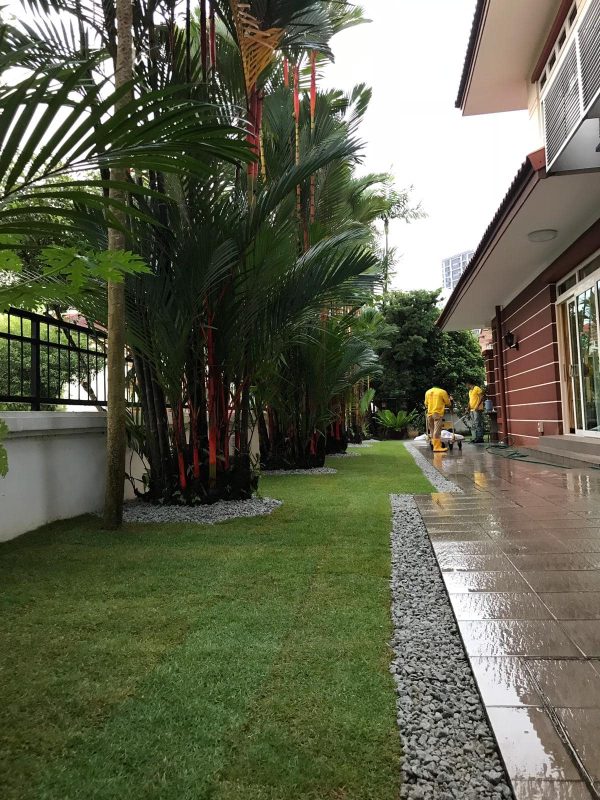 #1 Grass Turfing in Singapore | Artificial Carpet Grass Service