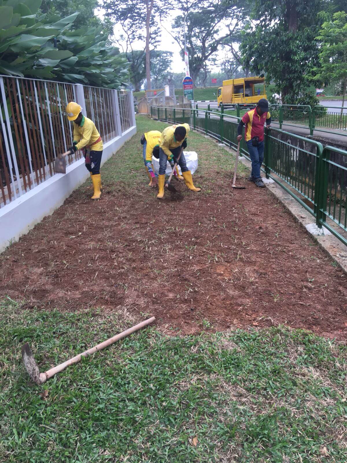 #1 Grass Cutting Services in Singapore | Expert Grass Cutter