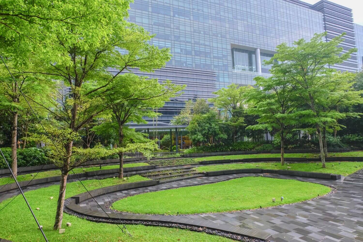 Best tree assessment services from top companies: Benefits you get!