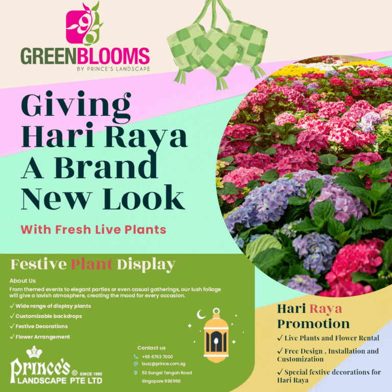 #1 Best Event Plant Display Rental in Singapore