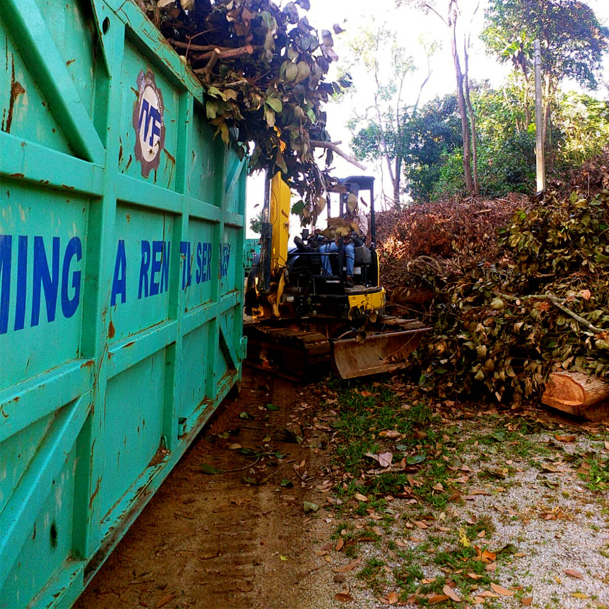 Tree pruning/tree removal @ an offshore island | Prince's Landscape Pte ...