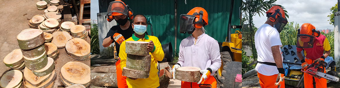 Chainsaw Course by Prince’s Landscape | Prince's Landscape Pte. Ltd.