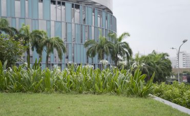 #1 Landscape Design Company in SG | Prince's Landscape