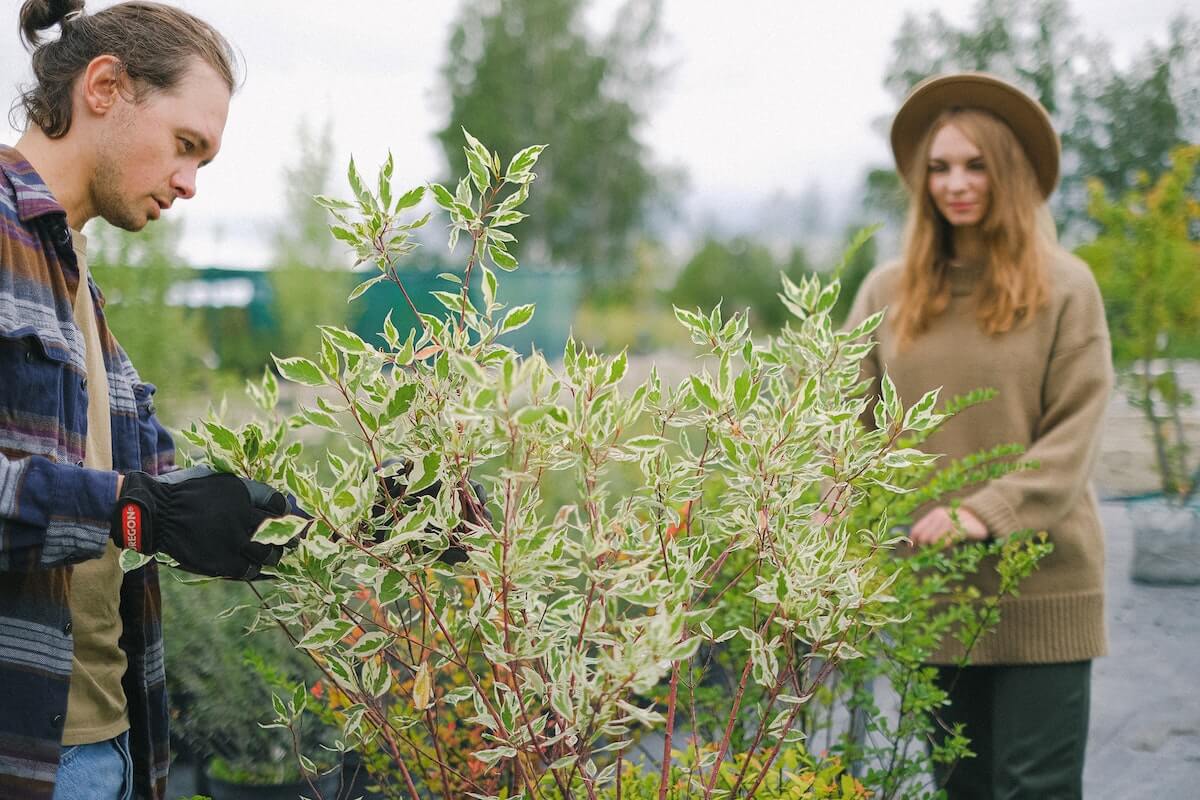 What to Consider Before Hiring a Horticulturist in Singapore | Prince's ...