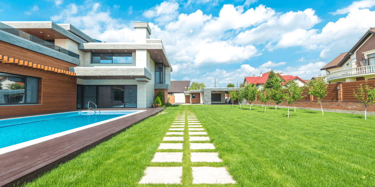 Plants for Office: Renting vs. Buying | Prince's Landscape Pte. Ltd.