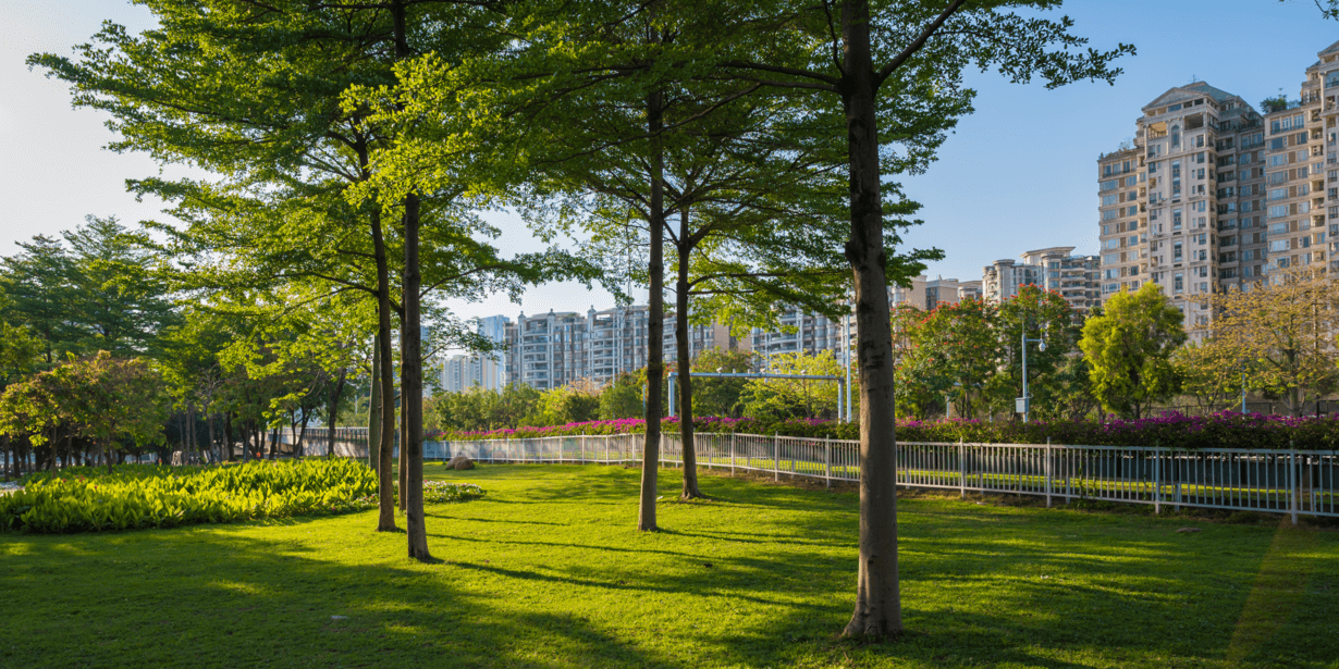 Grass-Cutting Services & Landscape Gardening Solutions in Singapore ...