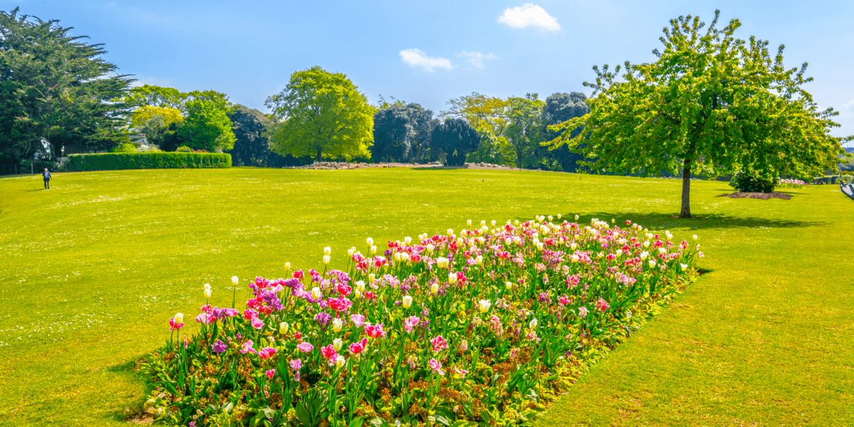 Green Roof Systems: All You Need to Know | Prince's Landscape Pte. Ltd.