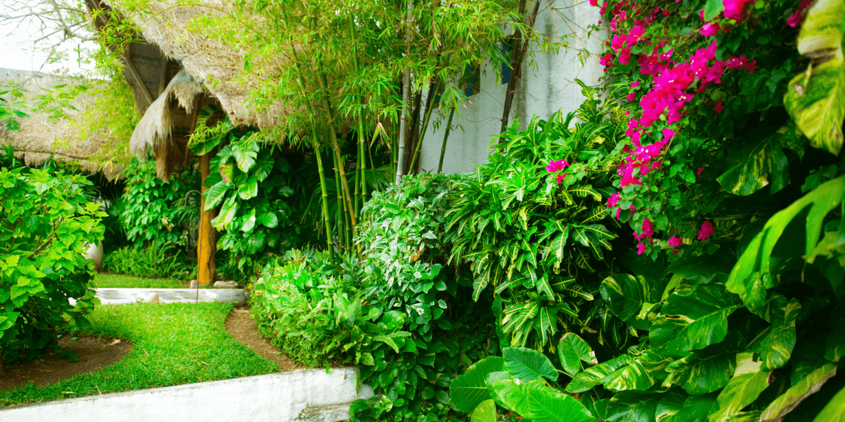 Benefits Of Hiring A Certified Tree Consultant Arborist Prince S