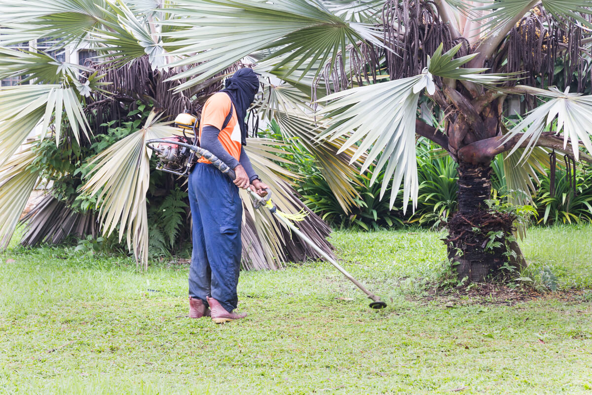 #1 Grass Cutting Services in Singapore | Expert Grass Cutter