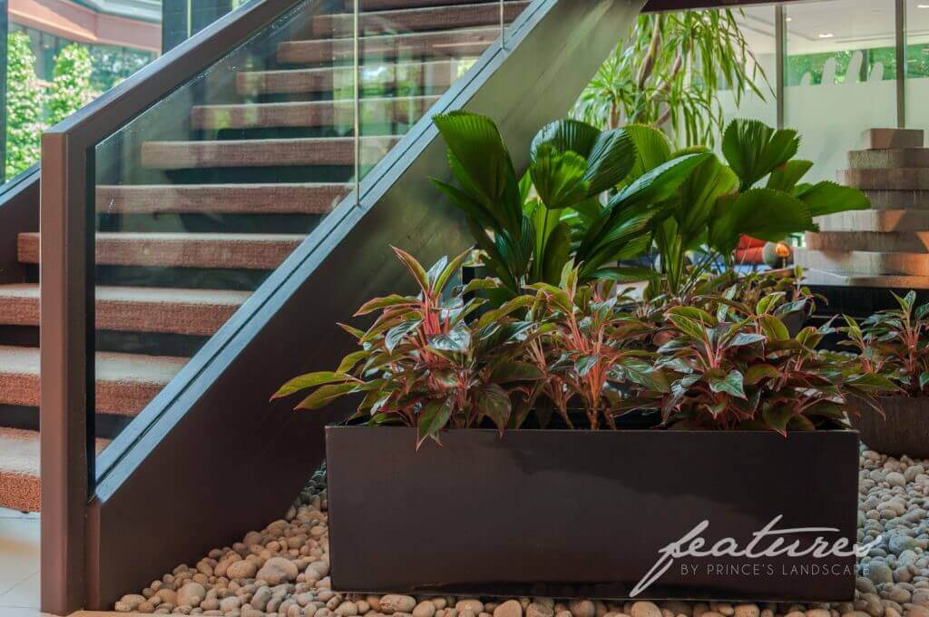 What is Stage Landscaping in Singapore?