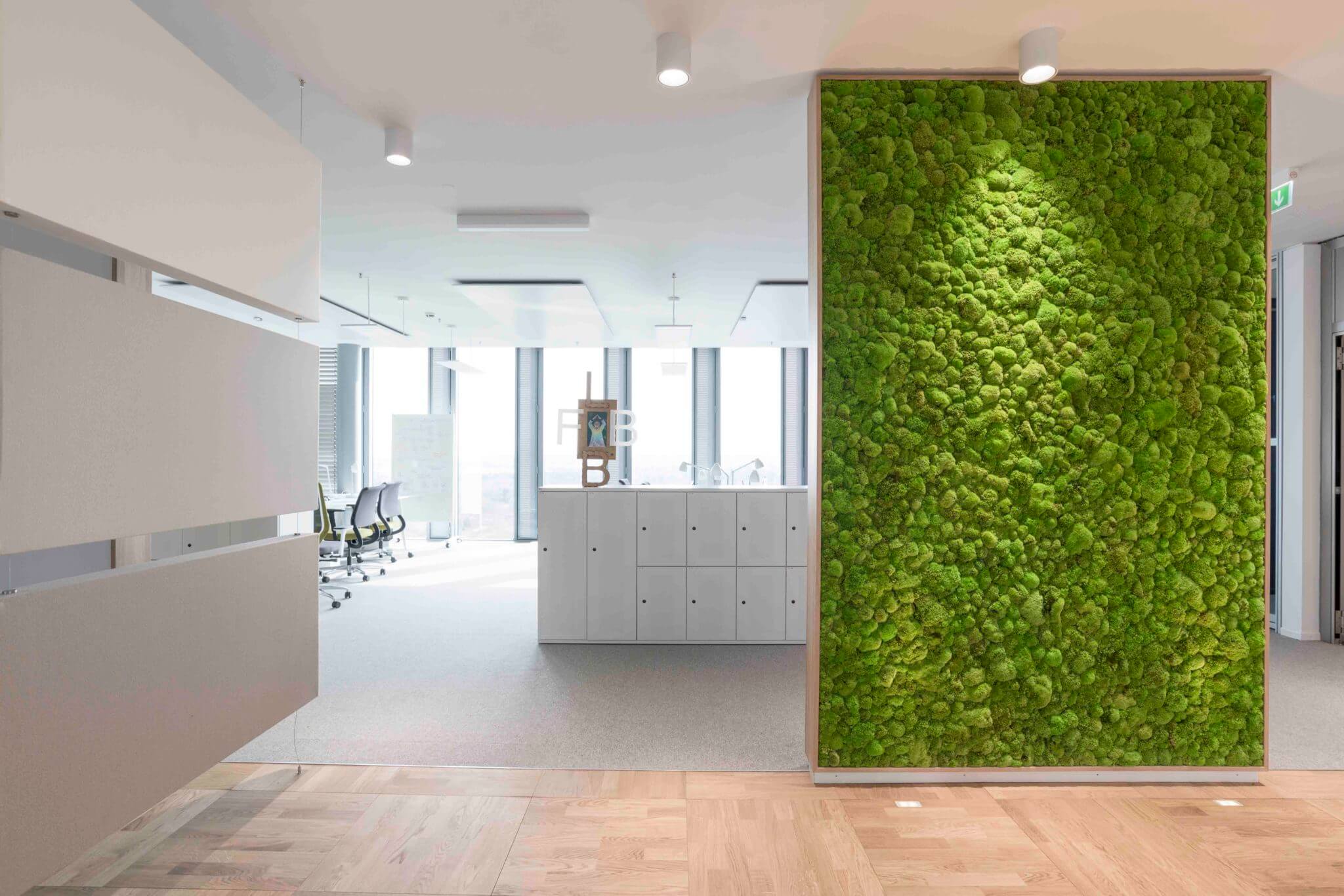 DIY Moss Wall Installation for Your Space